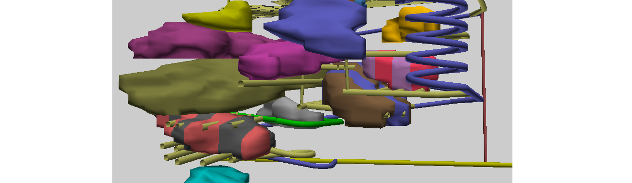 RecMin – Recursos Mineros – Mining software